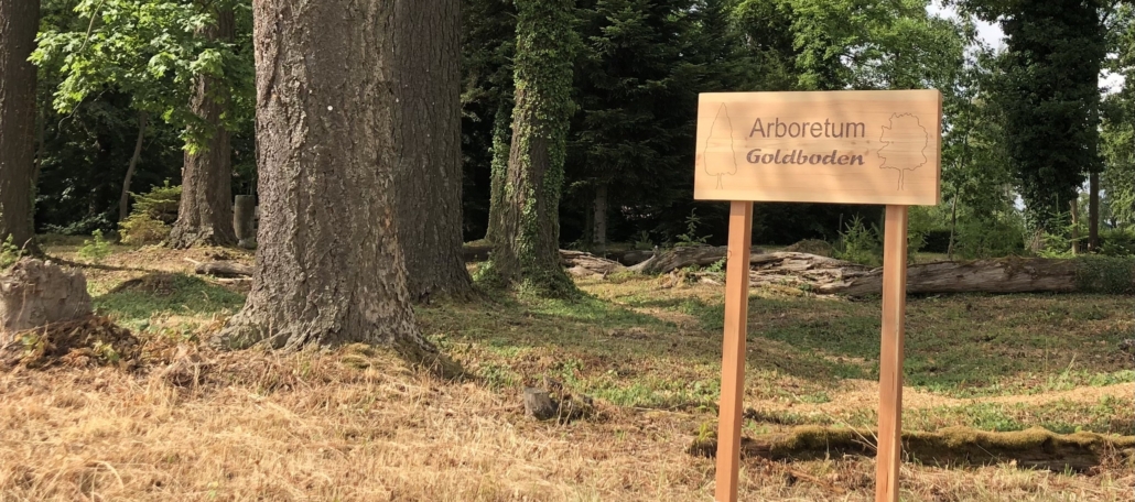 Wanderung „Von Winterbach zum Arboretum Manolzweiler“ mit Führung ...